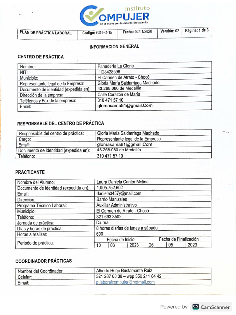 Plan de Practica | PDF