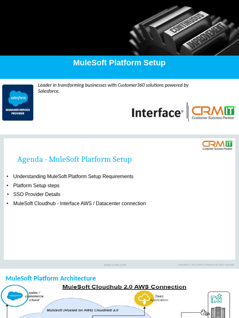MuleSoft Platform Setup | PDF