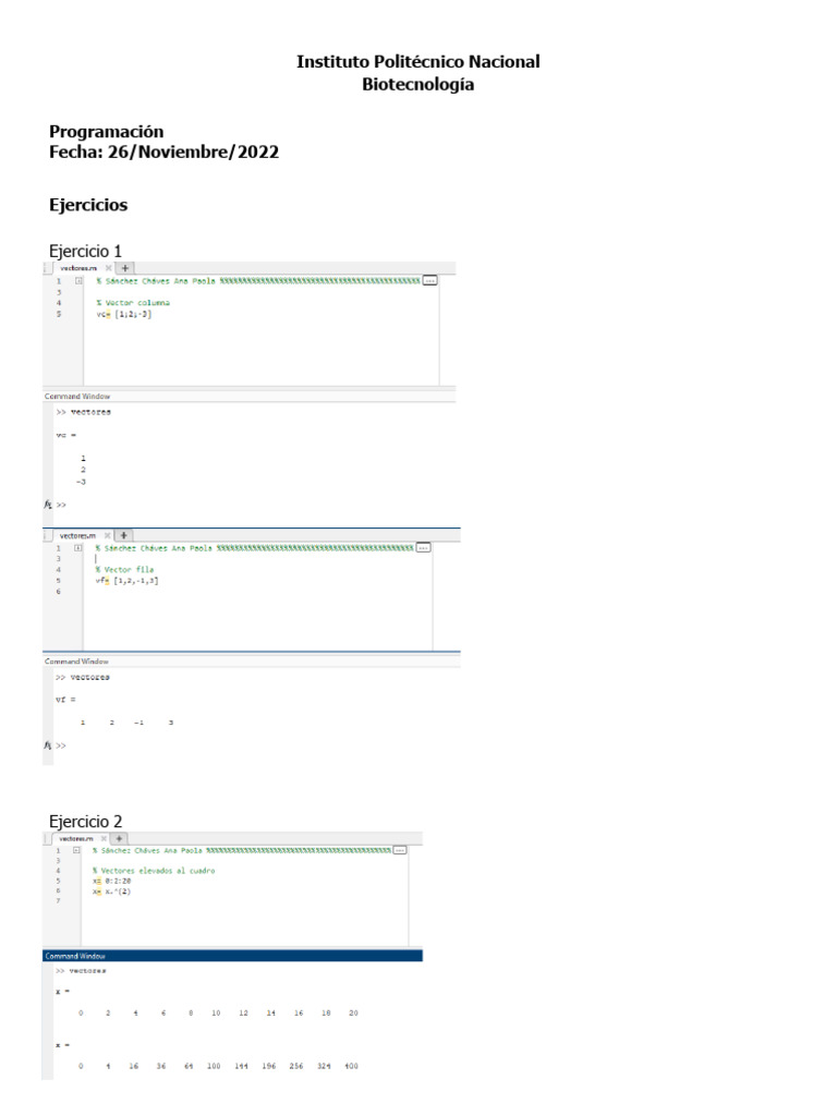 Vectores Programación | PDF