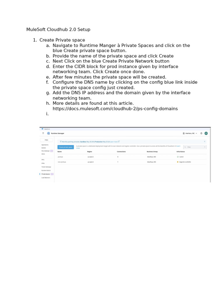 MuleSoft Cloudhub 2 Setup | PDF | Virtual Private Network | Domain Name System