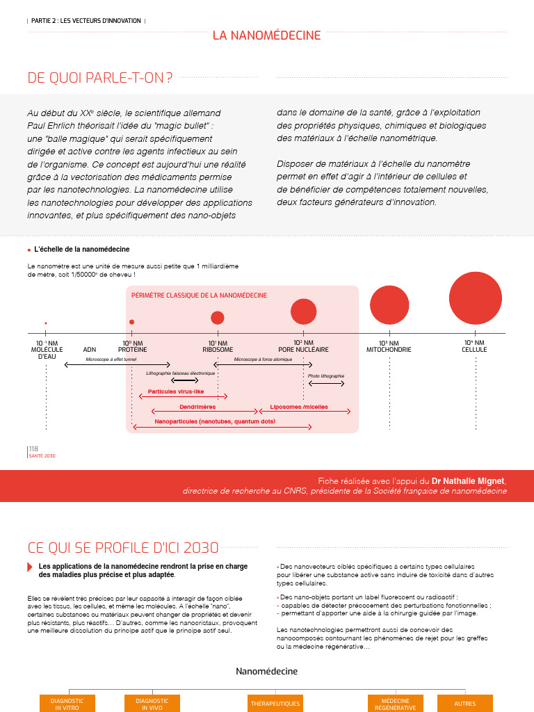 Innovations en Nanomédecine pour 2030 | PDF | Nanomédecine | Cancer