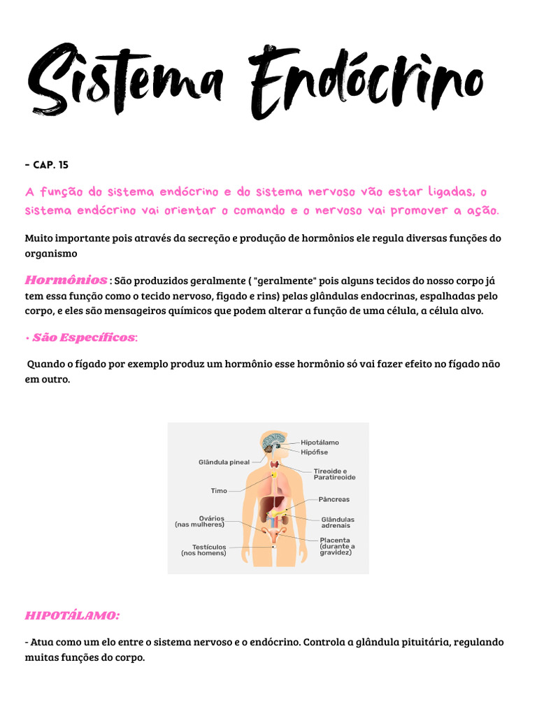 Sistema Endócrino - 20241103 - 140255 - 0000 | PDF | Tireoide | Corpo humano