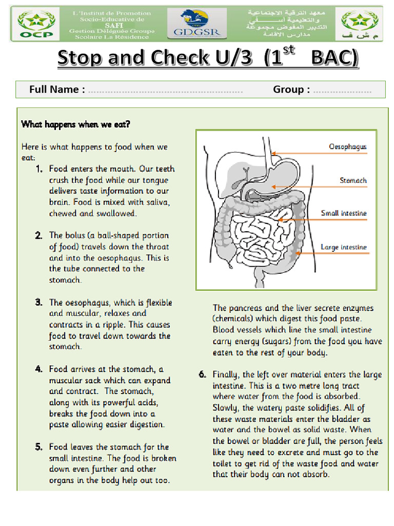 stop and check U3 1BAC | PDF