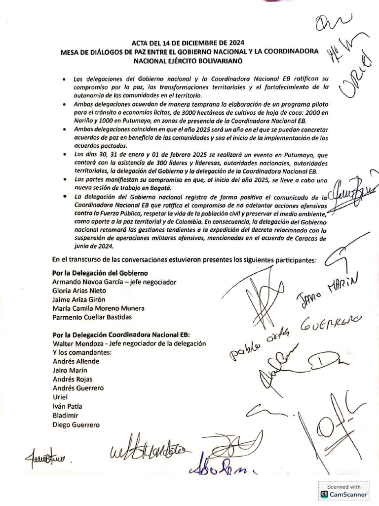 SESIÓN #2 Acta 14 de Diciembre 2024 | PDF