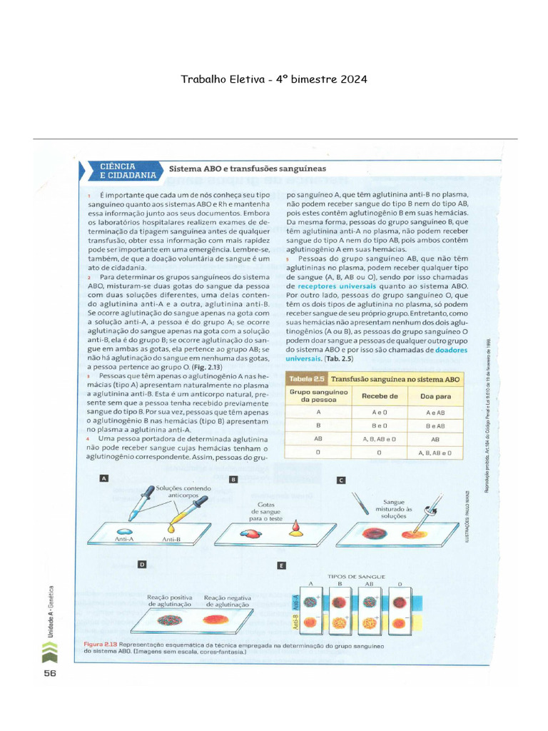 Trabalho Eletiva.4 Bimestre | PDF