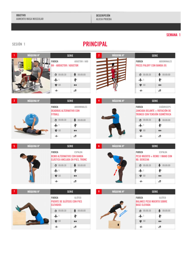 Dani | PDF | Entrenamiento con pesas