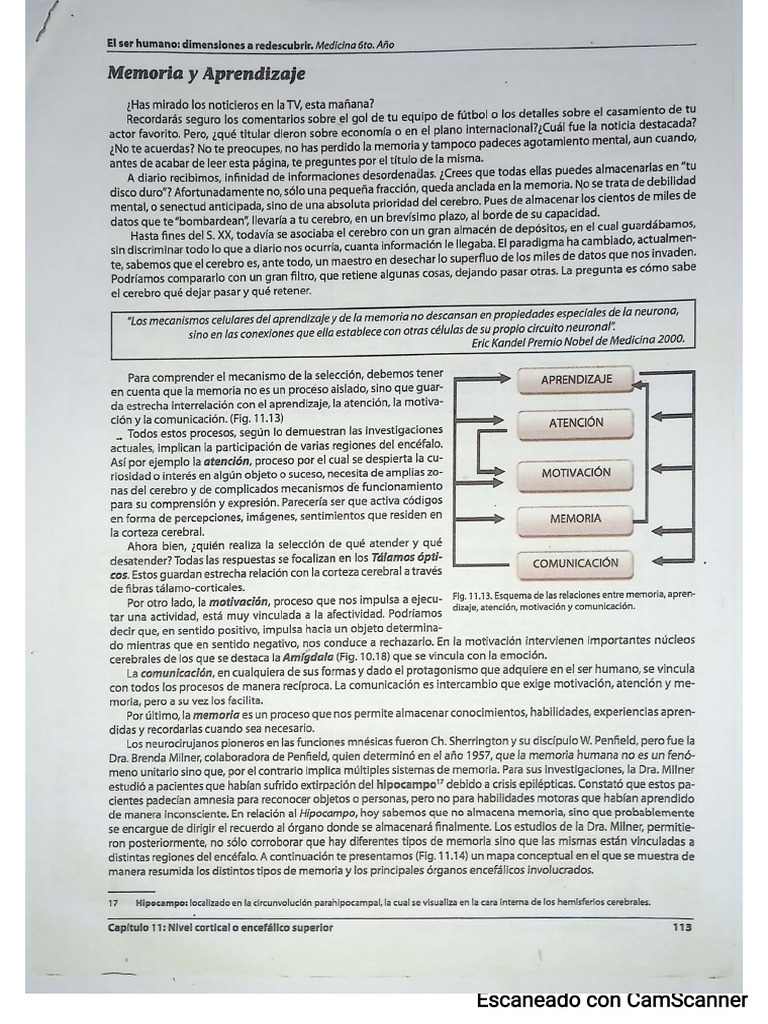 Memoria y Aprendizaje - 240906 - 174421 | PDF