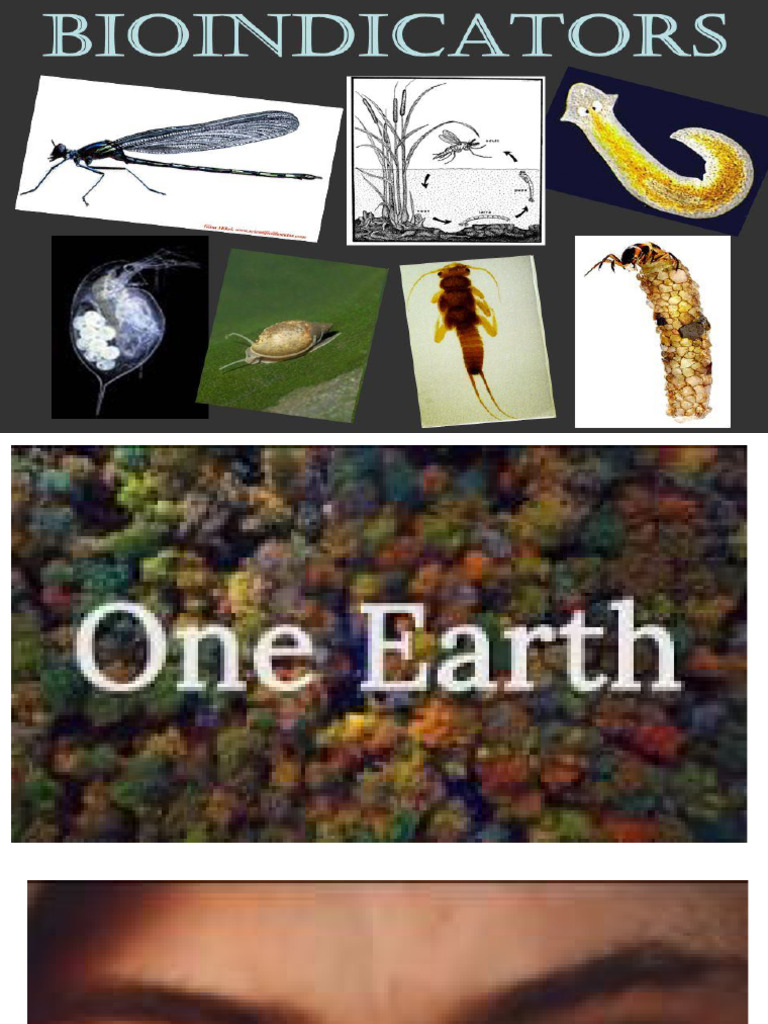 Bioindicators-f | PDF | Natural Environment | Environmental Science