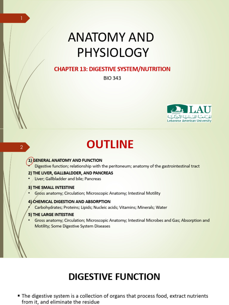 Chapter 13-Digestive System Nutrition PDF | PDF | Stomach | Digestion