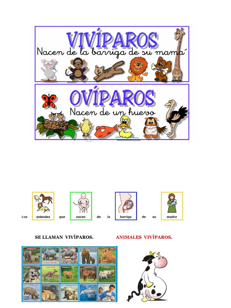 Los Animales Vivíparos y Ovíparos | PDF