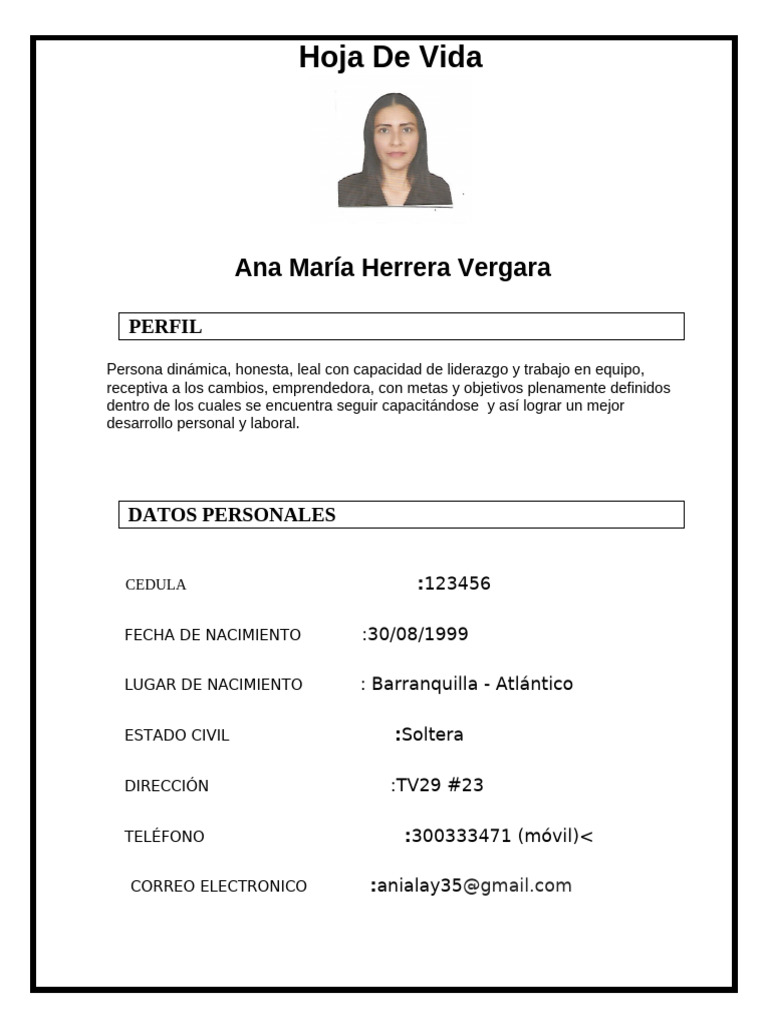Hoja de Vida - Scrib | PDF