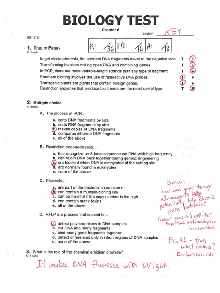 Test chapter 6 (#4) (KEY) | PDF Test chapter 6 (#4) (KEY) | PDF