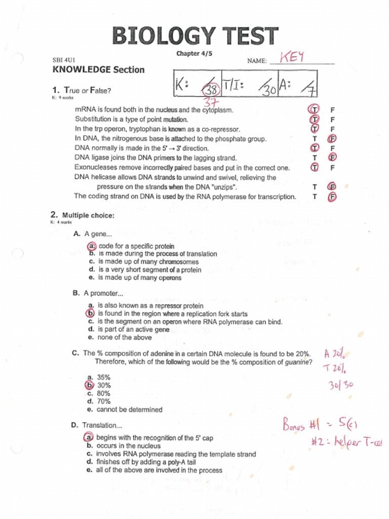 Test chapter 4&5 (#4) (KEY) | PDF
