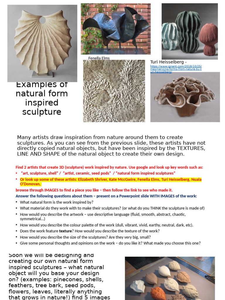 Natural Forms Sculpture Research | PDF