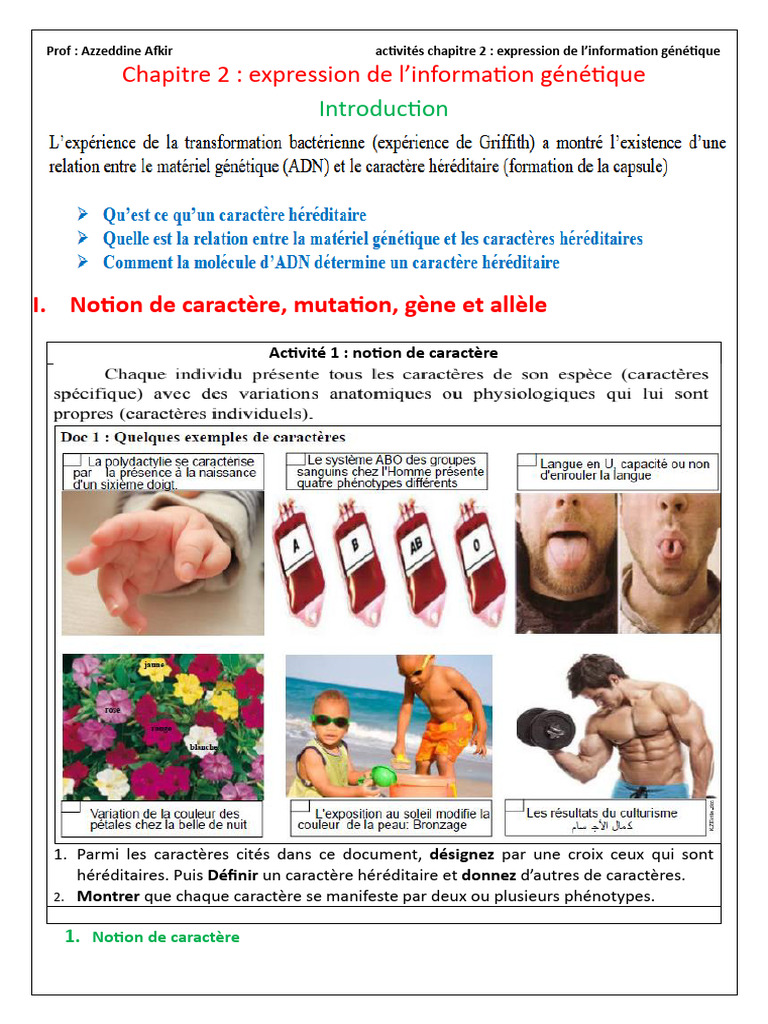 Cours Chapitre 2 Unité 2 Partie 1 - Copie | PDF | Gène | Expression ...
