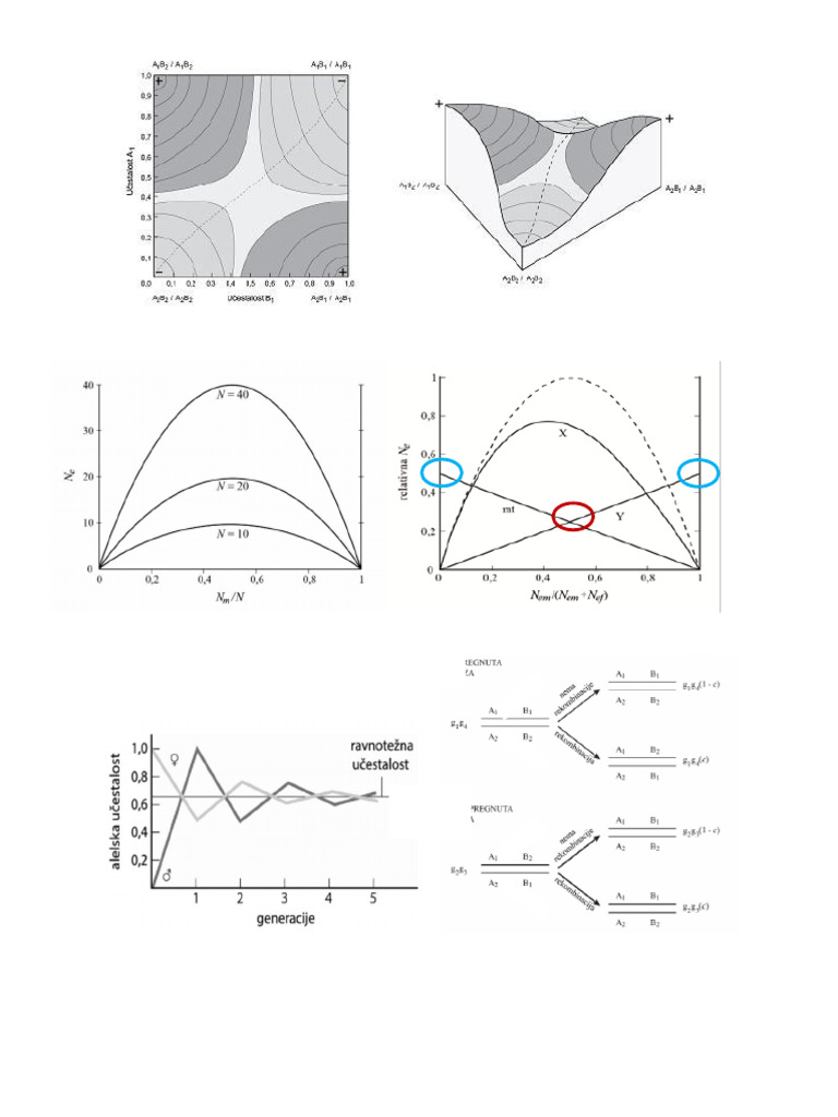 Grafici Za Ispit | PDF