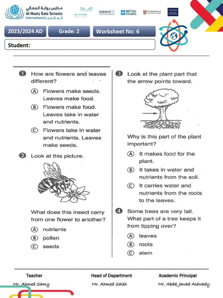 __G 2 Science worksheet 6 Week 2 | PDF