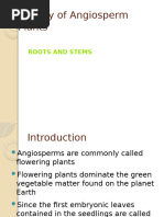Transverse Sections of Plant Anatomy | PDF | Leaf | Plant Stem