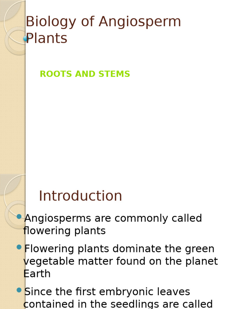 Lecture 25 - Biology of Angiosperm Plants Roots and Stems | PDF | Root | Plant Stem
