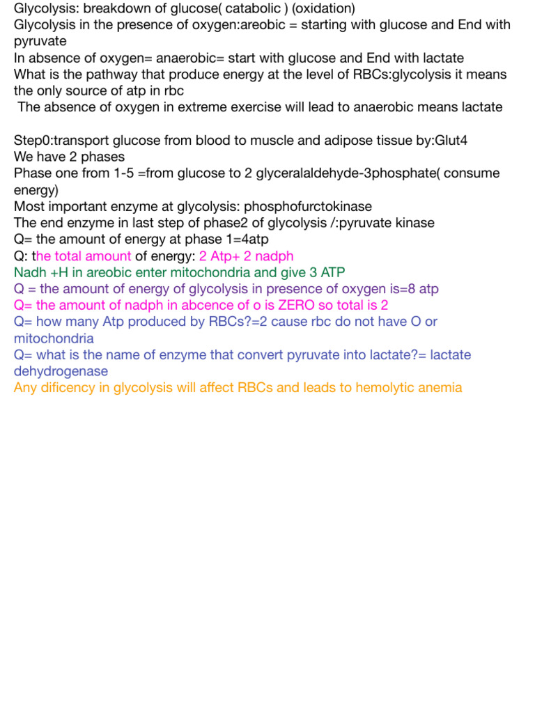 Glycolysis Summary | PDF