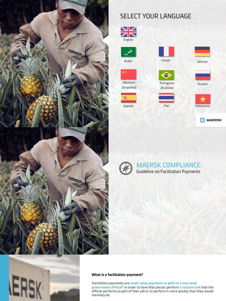 Guideline on Facilitation Payments | PDF
