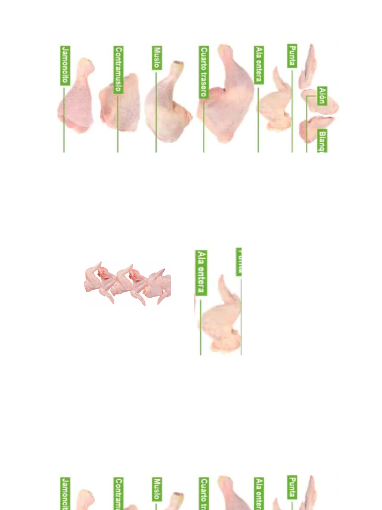 Partes y Piezas de Pollo | PDF