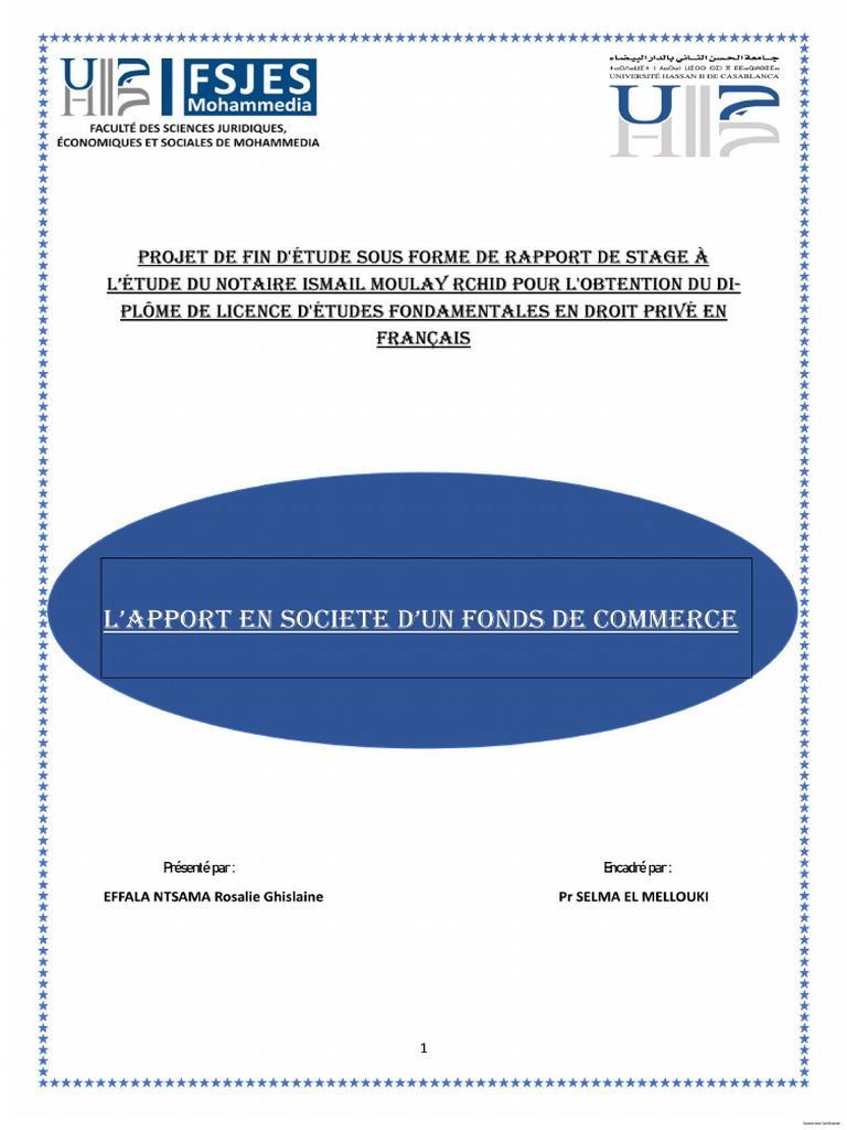 PAGE DE GARDE RAPPORT-PFE ROSALIE EFFALA | PDF