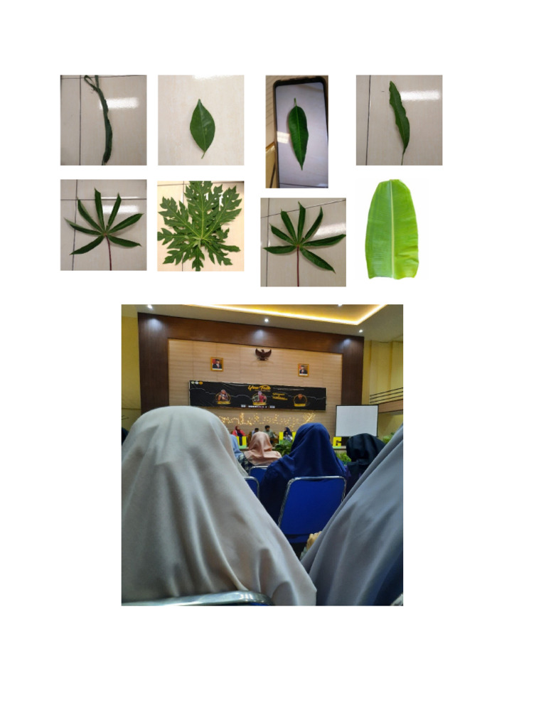 daun | PDF