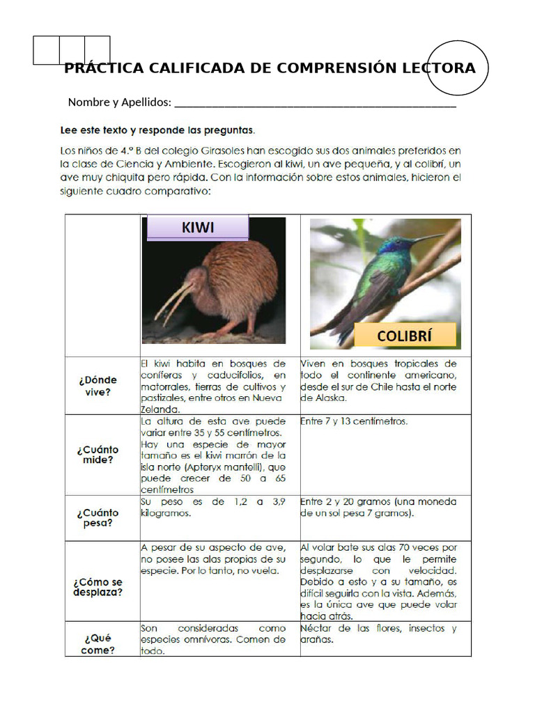Práctica de Comprensión Lectora | PDF