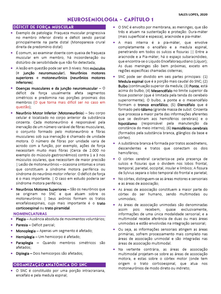 Semiologia - Neuro - Cap 01 - (Sales) | PDF | Neurônio motor | Sistema ...