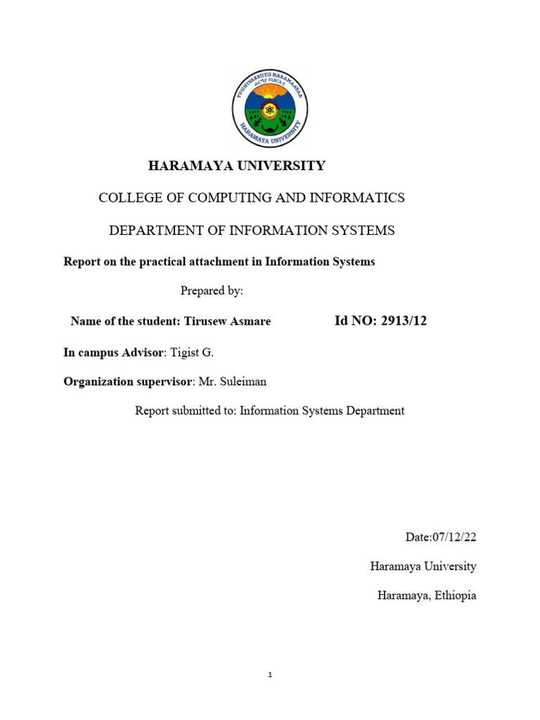 Tiru Report | PDF | Input/Output | Computer Hardware