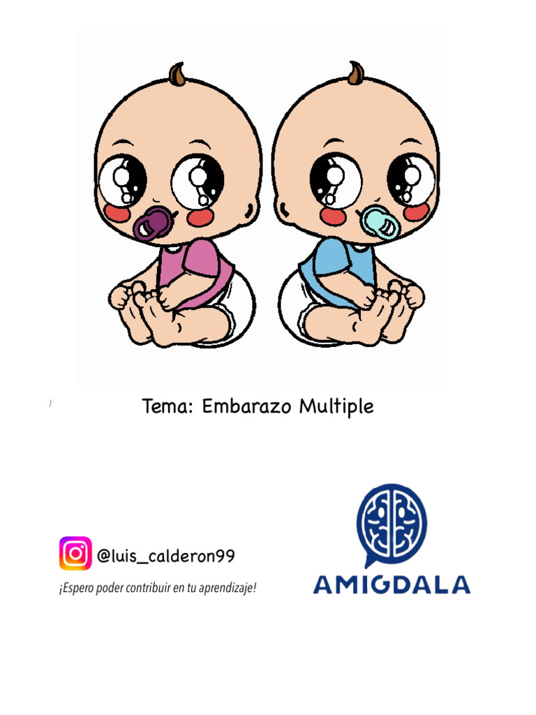 Luis-C-Embarazo Multiple-1 - P | PDF | Gemelo | Nacimientos Múltiples