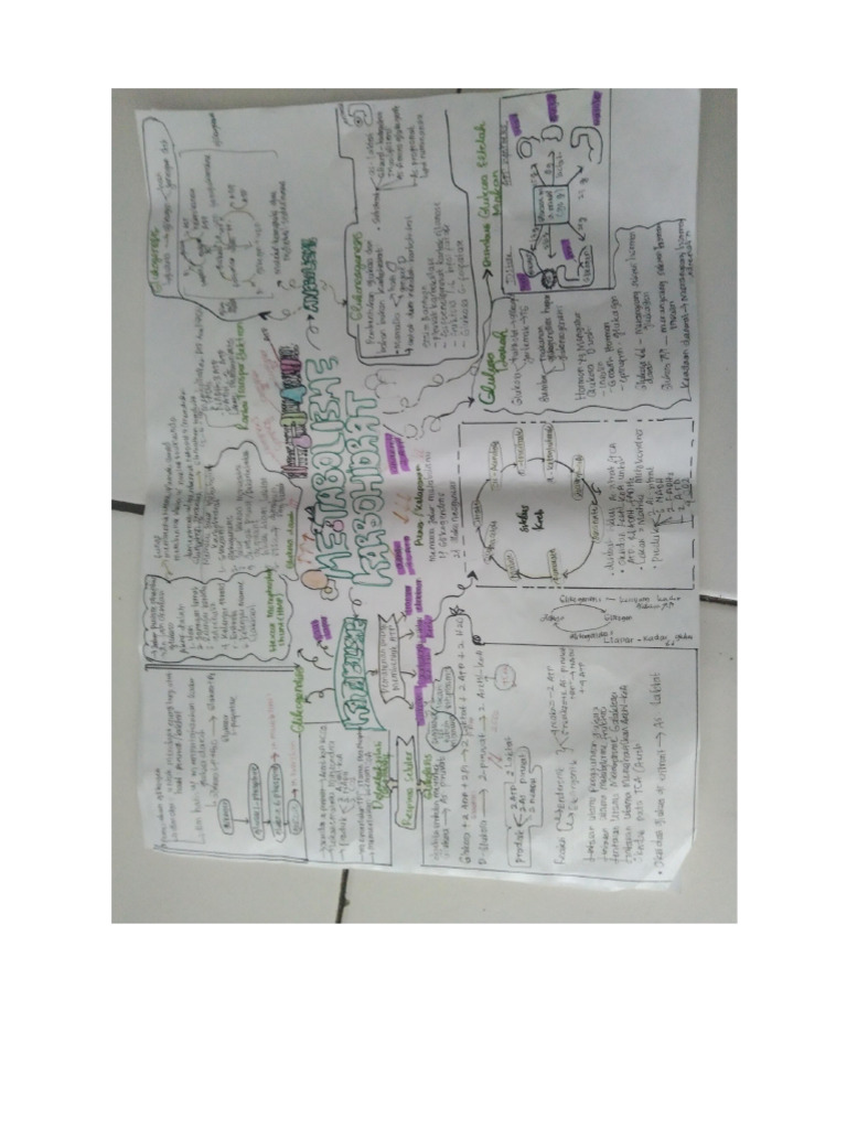 Tugas Mind Mapping Dan Soal Metabolisme Karbo | PDF