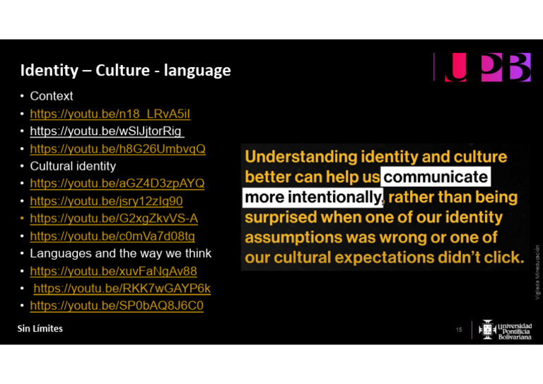 Cultural Identity & Language Insights | PDF