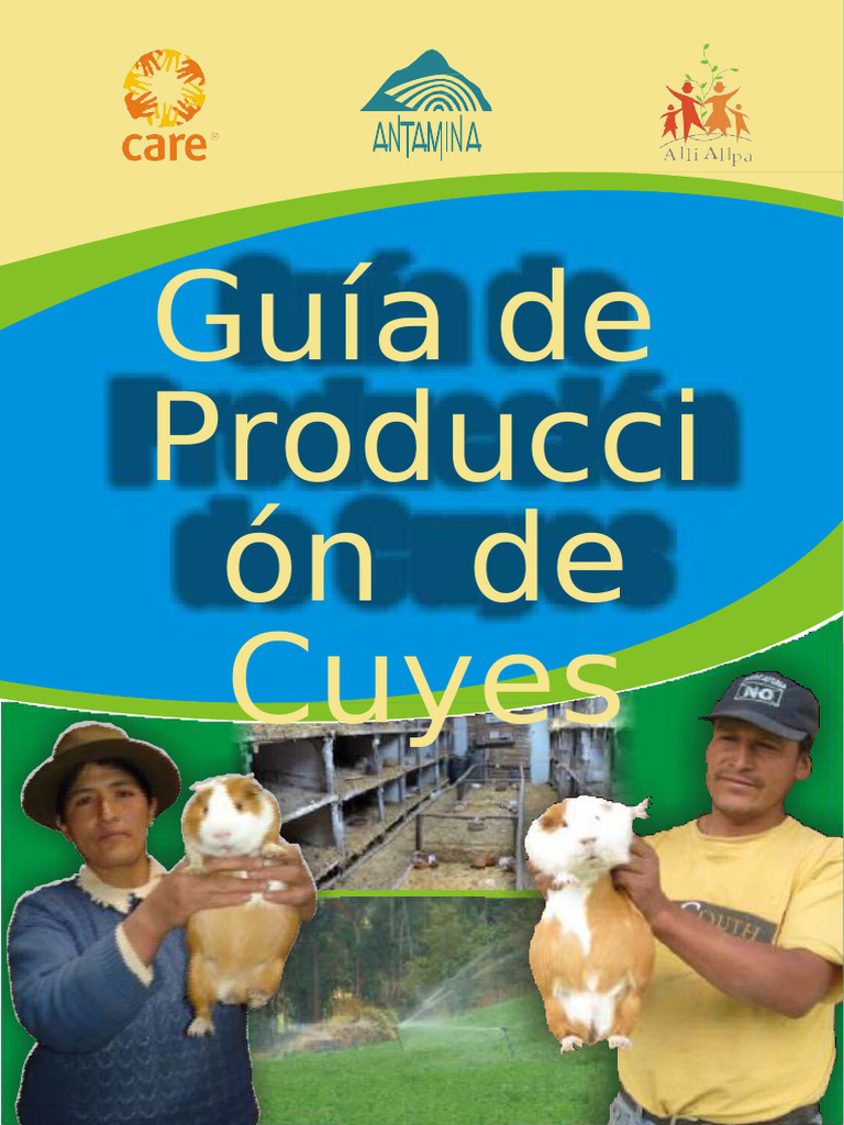 Guia de Producción de Cuyes | PDF | Digestión | Alimentos