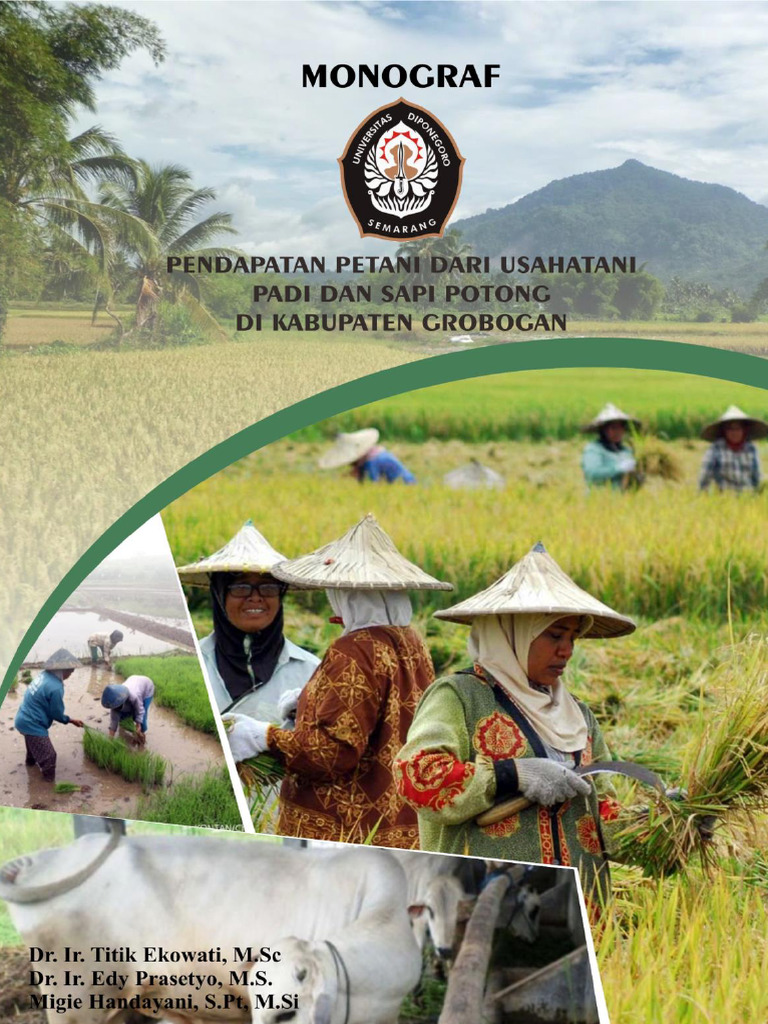 TITIK_EKOWATI_MONOGRAF_PENDAPATAN_2017 | PDF