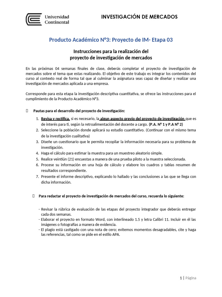 Producto Académico N 3 - Proyecto Parte3 | PDF | Cuestionario | Investigación de mercado