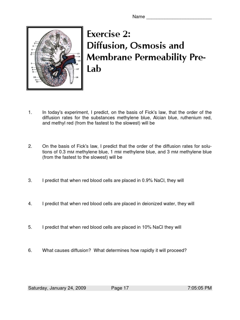 Lab 02 Diffusion Osmosis Permeability | PDF | Osmosis | Cell Membrane