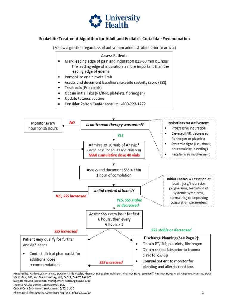 Snakebite Treatment Algorithm Anavip Peds | PDF | Intravenous Therapy | Bleeding
