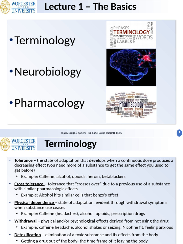 Week 1 Nuerobiology PCOL Terminology | PDF | Neurotransmitter | Cell Signaling