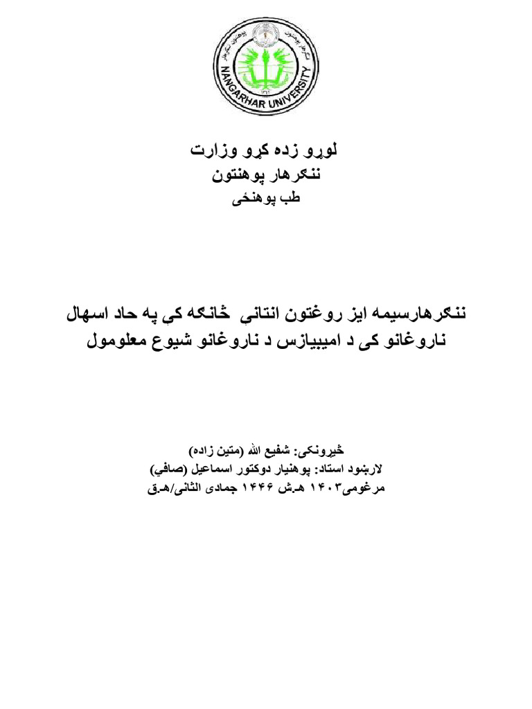 Shafiullah New Thesis - 1 | PDF