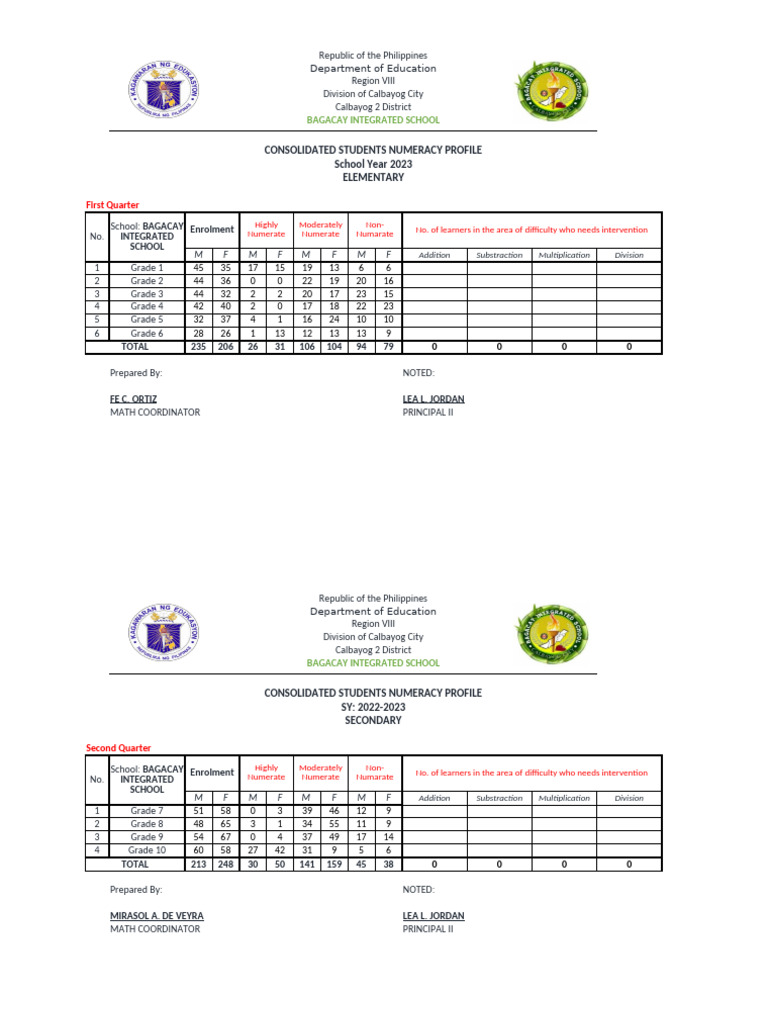 Bagacay IS 2023 - Consolidated Numeracy Profile New Format | PDF