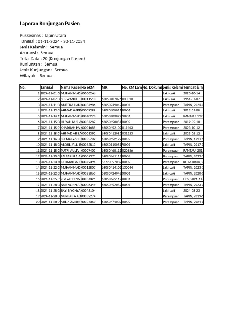 Laporan Kunjungan Pasien Tapin Nov 2024 | PDF