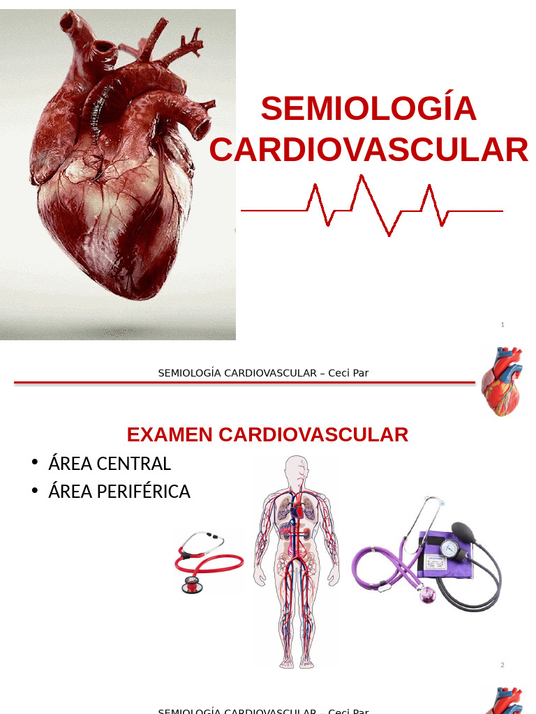 Semio Cv-Ceci Par | PDF | Corazón | Sistema circulatorio