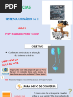 5Hs e 5Ts Da PCR | PDF | Coração | Sangue