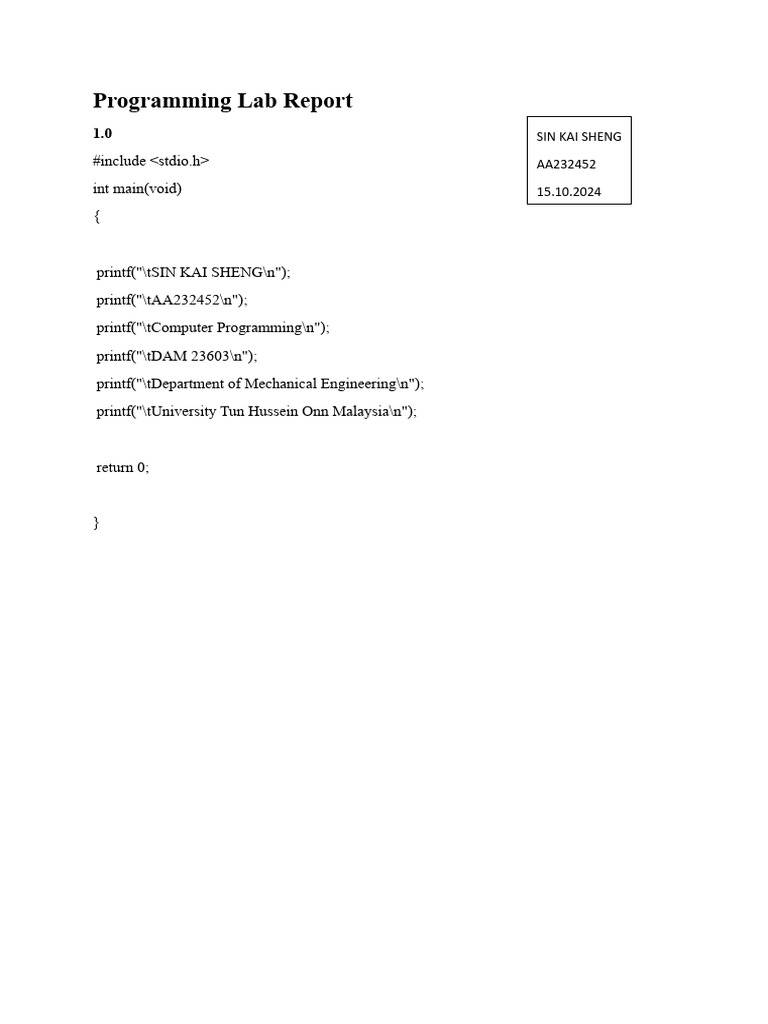 Programming Lab Report | PDF