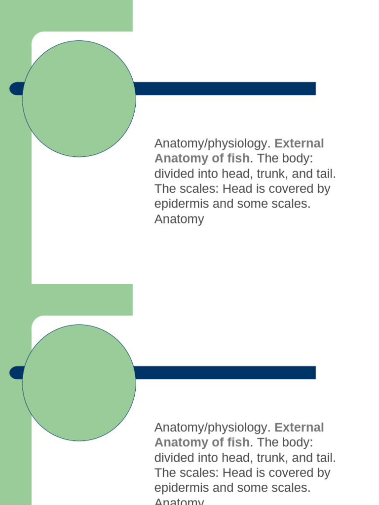 External Anatomy of Fish Explained | PDF
