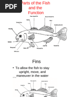 Fish Anatomy: Structure and Functions | PDF