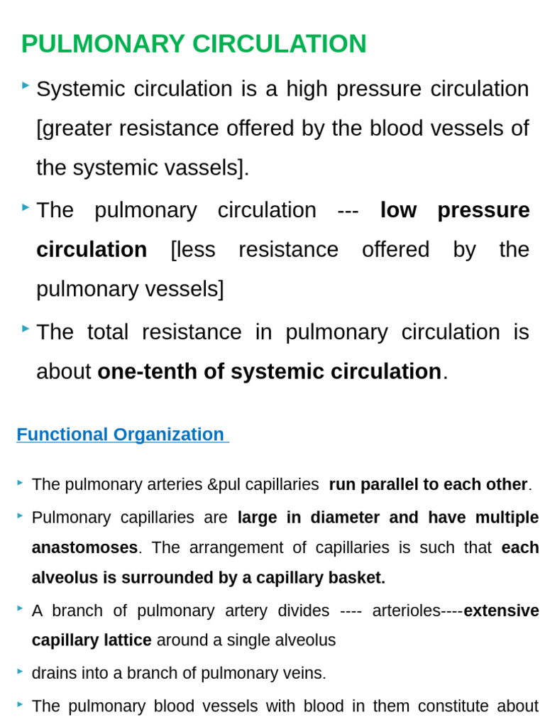 Lec 8, Pulmonary Circulation & Ventilation Perfusion Ratio | PDF ...