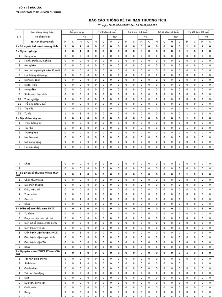 Xtra BaoCaoThuongTich | PDF